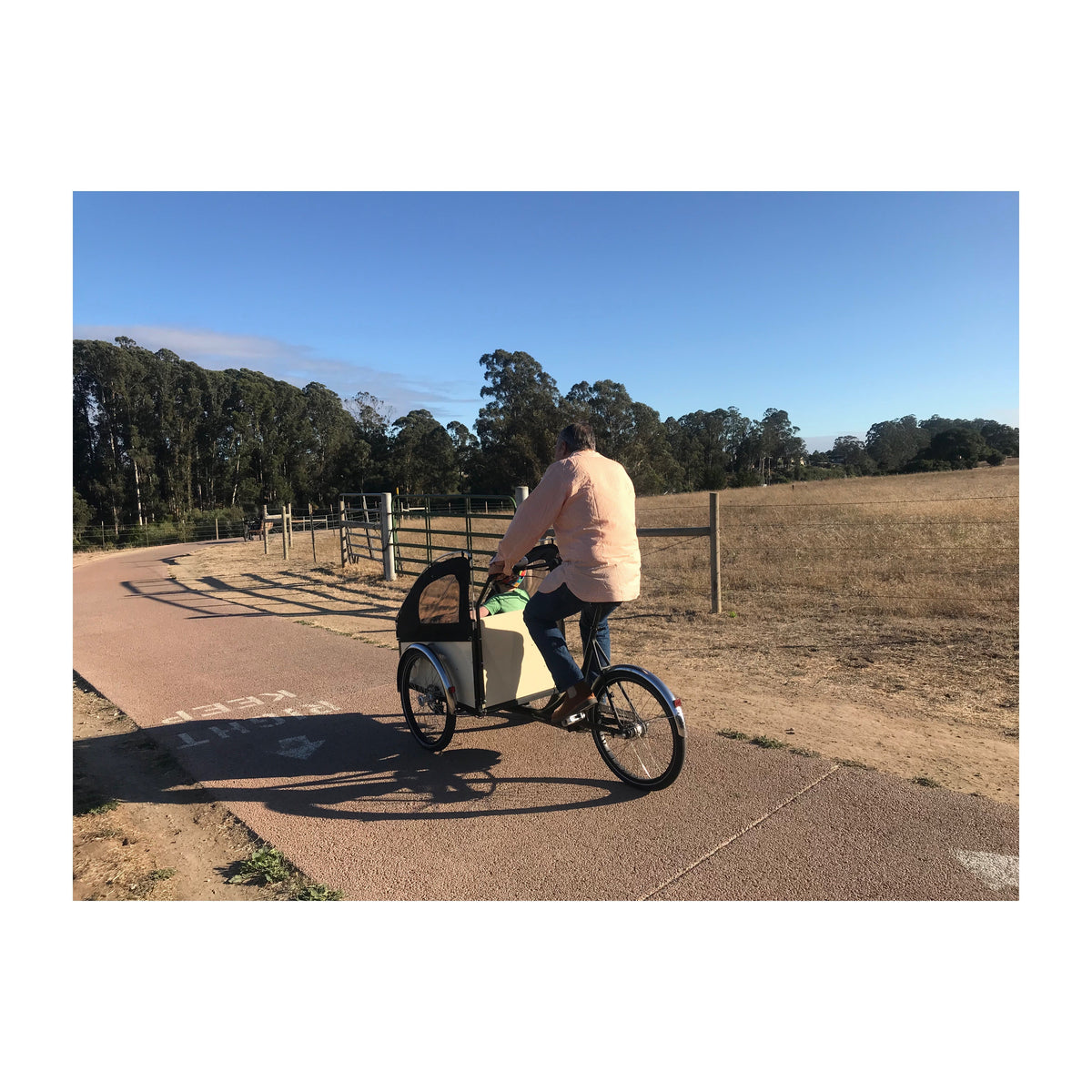 Human-Powered vs Electric Cargo Bikes — Christiania Bikes America